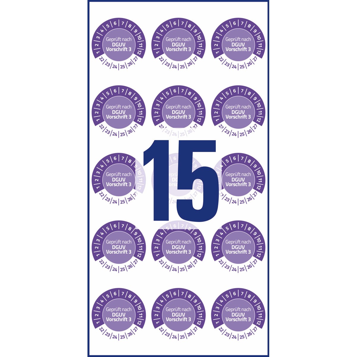 Avery Zweckform 6977-2022 Prüfplaketten "Geprüft nach DGUV Vorschrift 3"